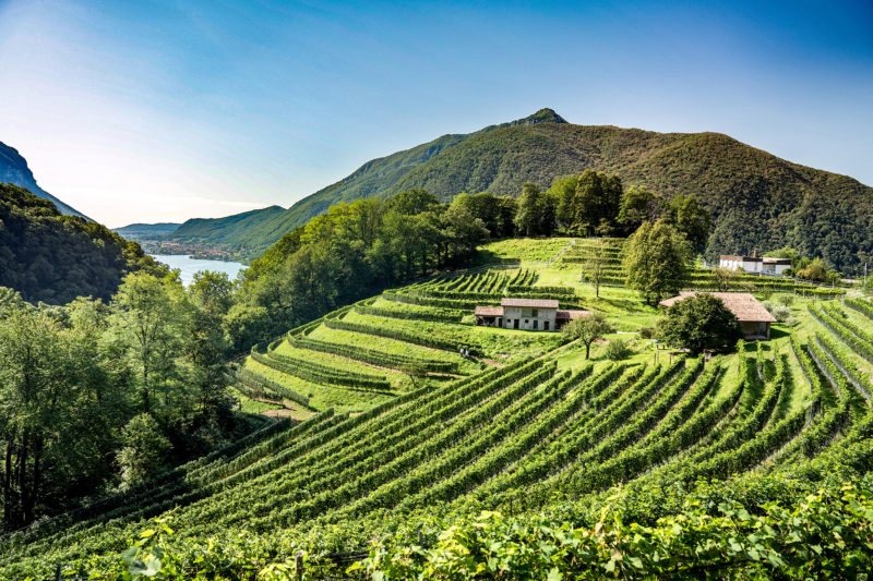 About – Ticino 2025 | Switzerland | 17th FIMBA World Maxibasketball ...